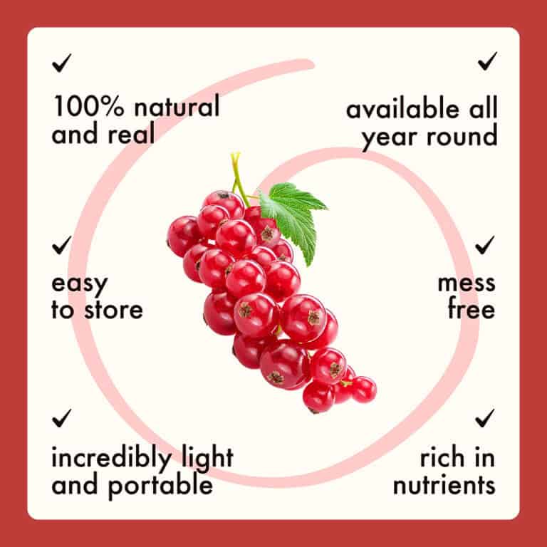 Freeze Dried Red Currant Whole | Healthy Future