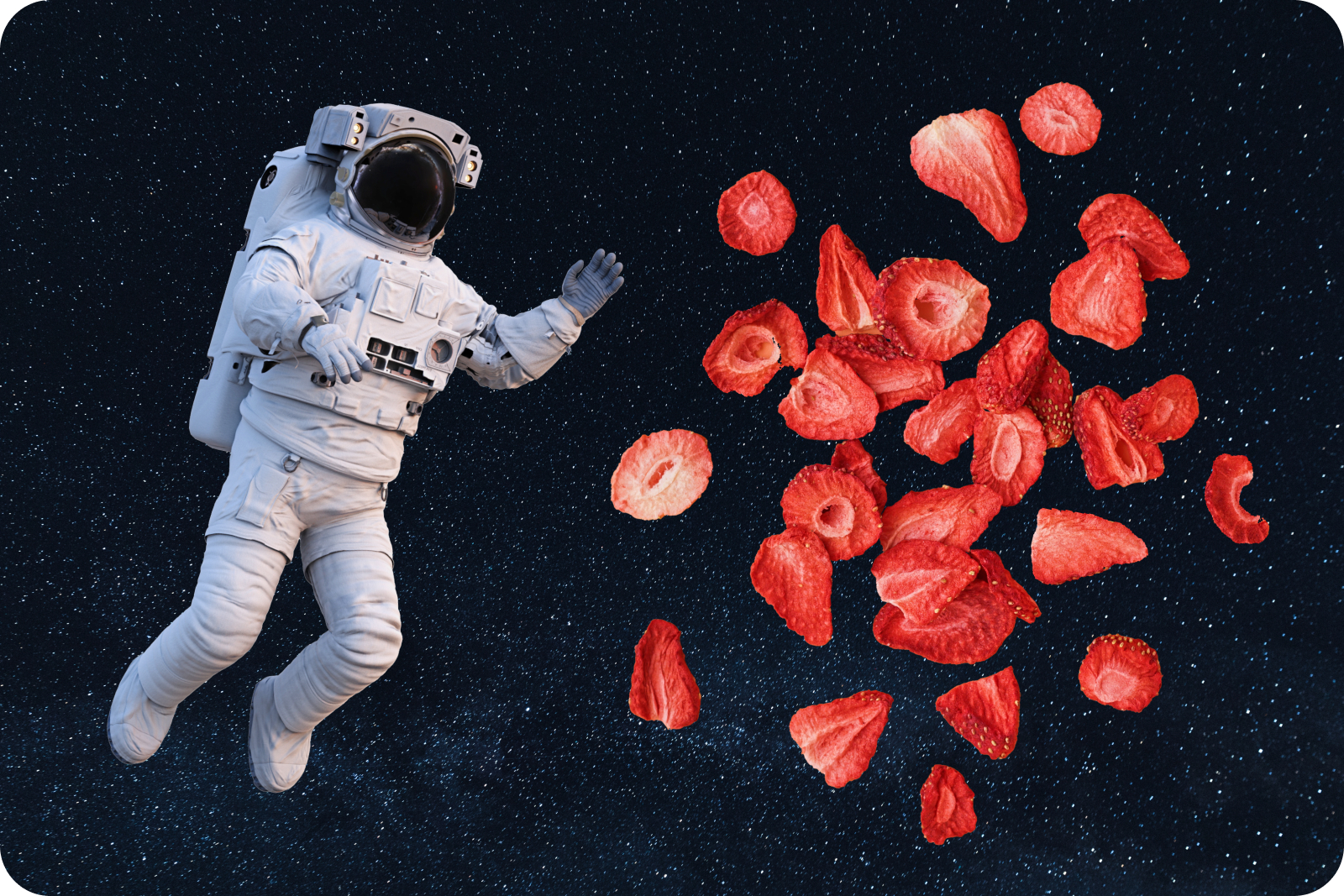 Freeze-Drying Process: The Science Behind Our Crunch - Freeze Dried ...